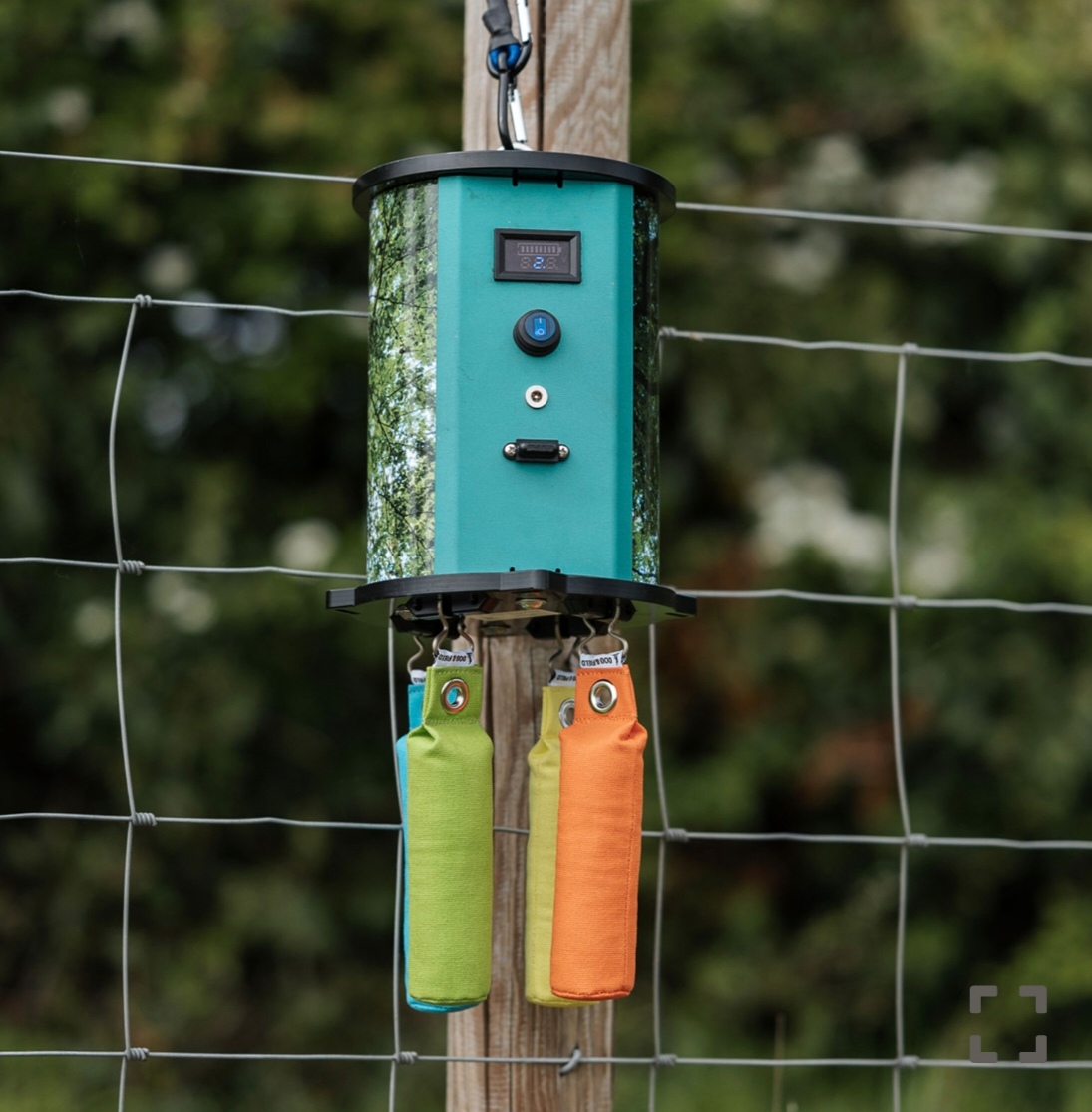 Dog & Field Dummy Dropper | Rural Prize Draws